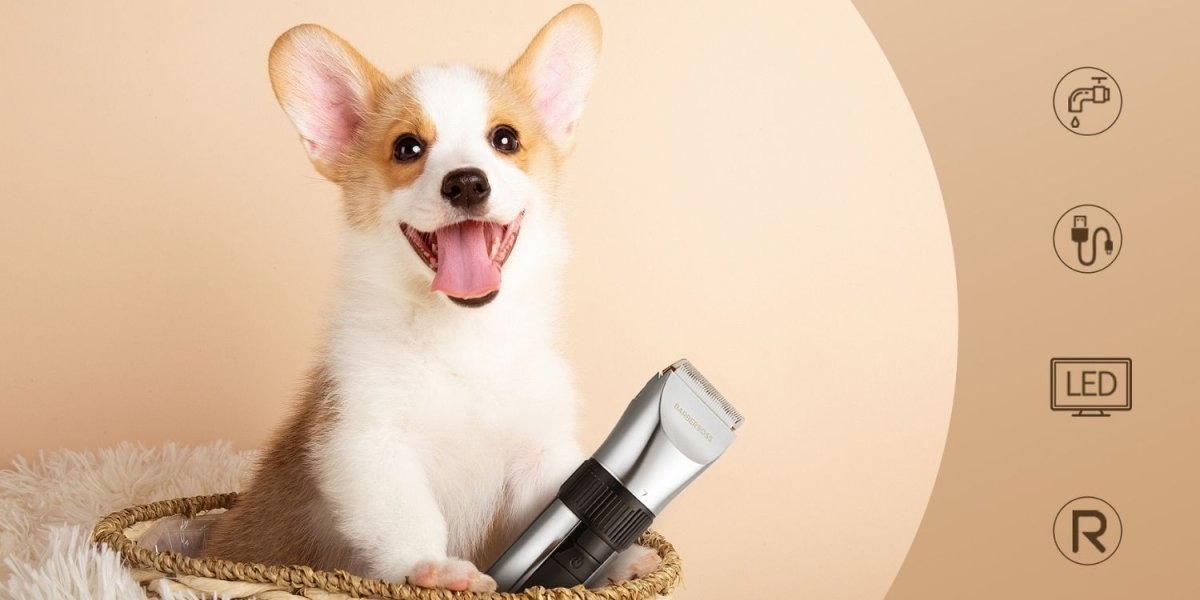 How to Identify Your Dog's Hair Type and Choose the Right Grooming Too ...